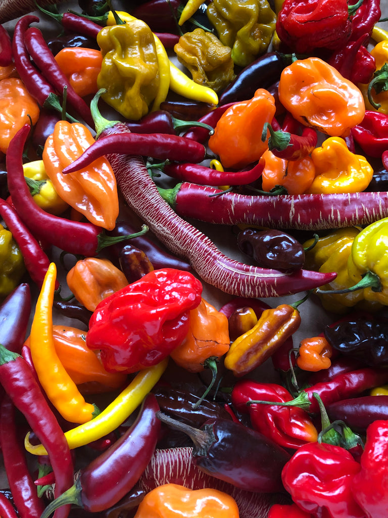 Mt. Garibaldi Inferno Hot Salt – Bowen Island Herb Salts